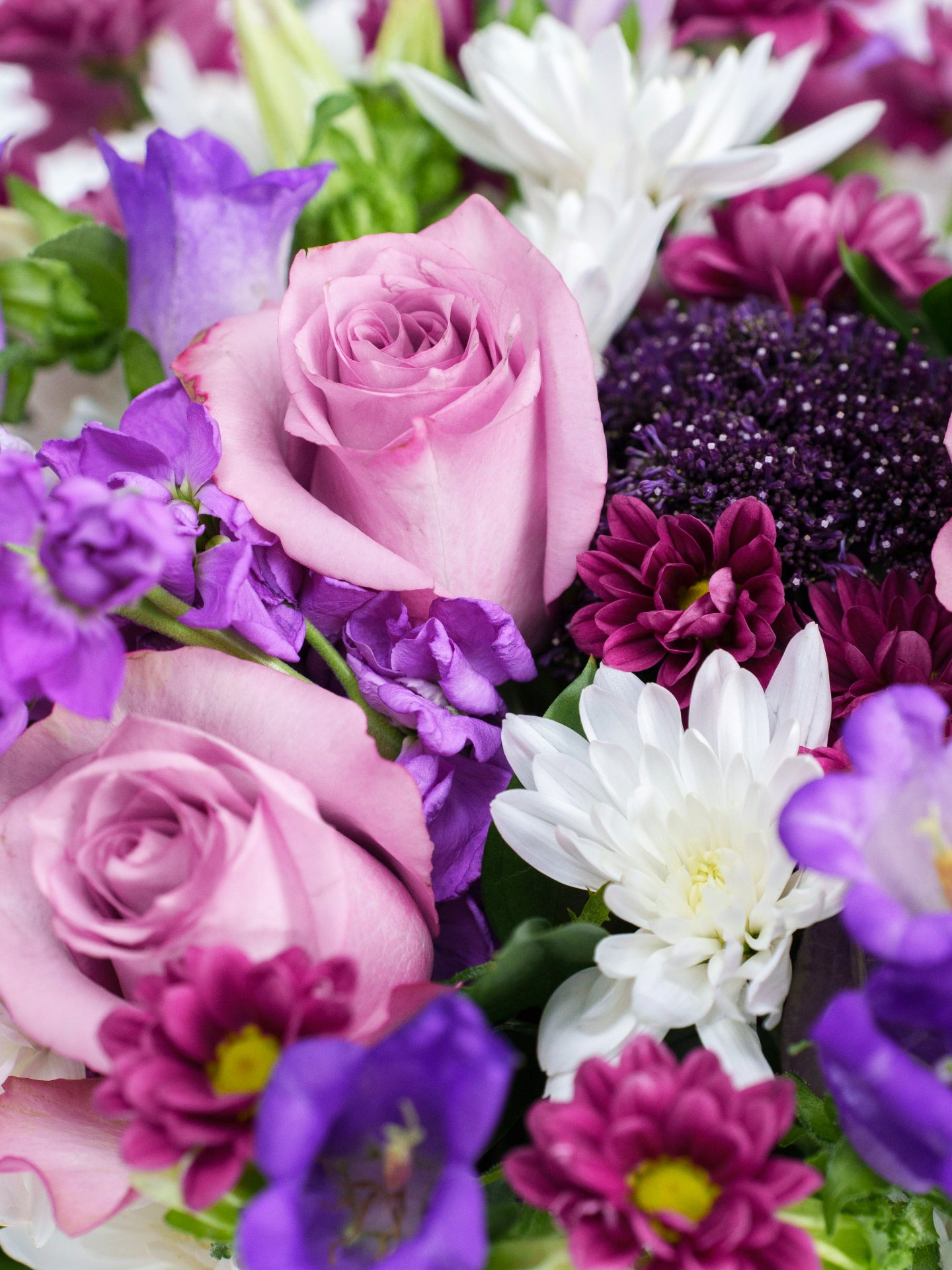 Fresh Flower Delivery — Same-Day, Farm-Fresh Flowers | Send Smiles