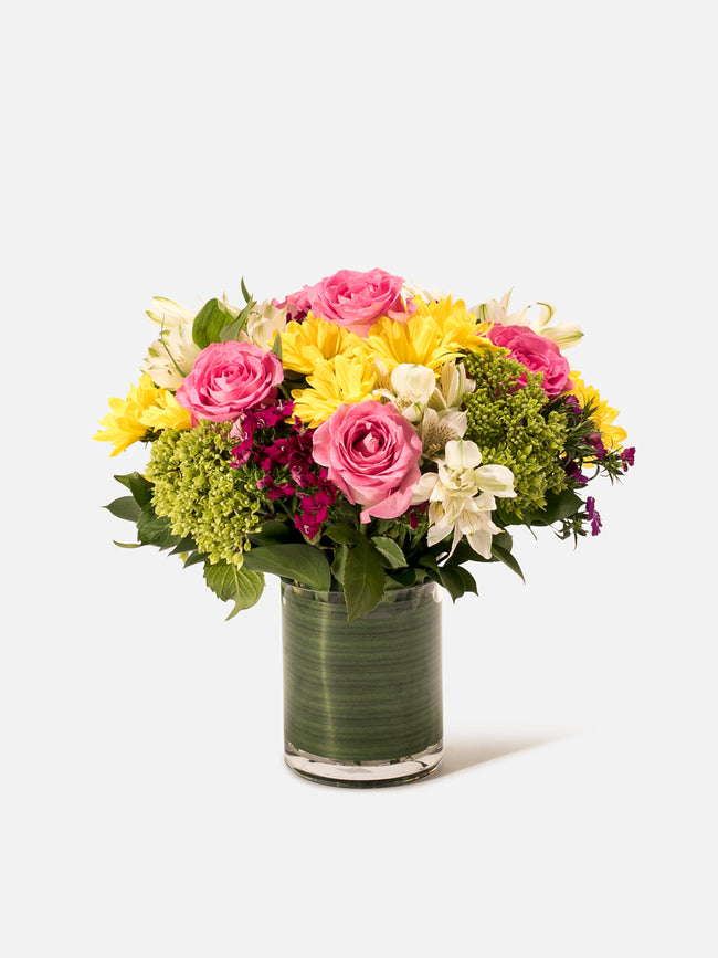 Shop All – Send Smiles